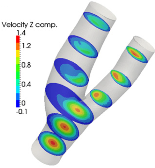 COMPUTATIONAL BIOMECHANICS - IACM
